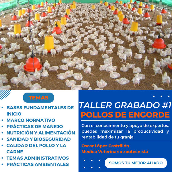 Taller Grabado #1 de Pollos de Engorde: Rentabilidad y Sostenibilidad en Tu Granja - William ...
