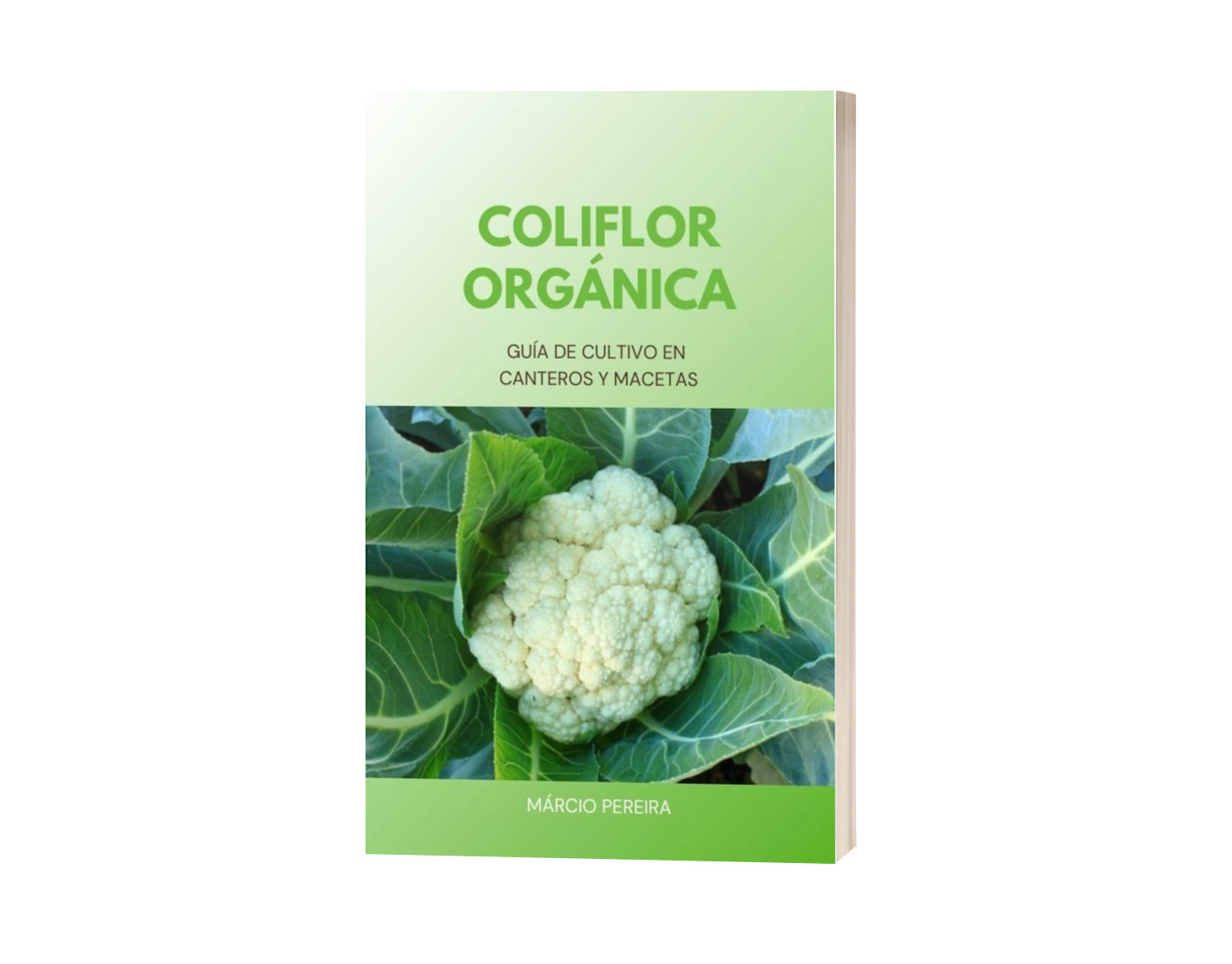 Coliflor Orgánica - Márcio Pereira | Hotmart