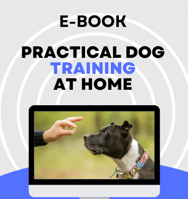 Practical dog training at home