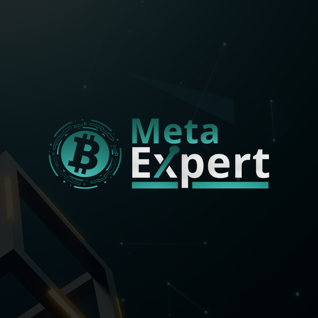 META EXPERT