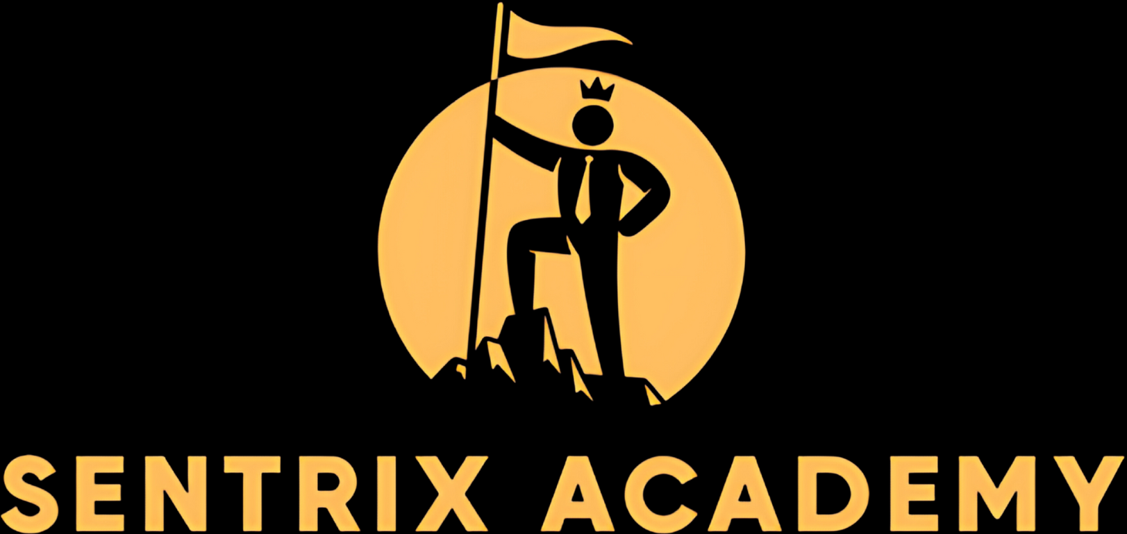 Sentrix Academy - Arivaldo Santana | Hotmart