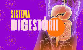 Resumo digestório I e II - Laura Providello Marcantonio | Hotmart