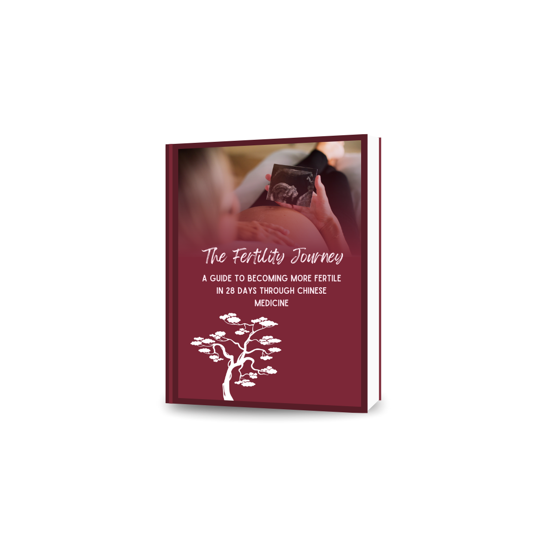 The Fertility Journey