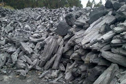 ELABORACION DE COQUE - Maria Perez | Hotmart