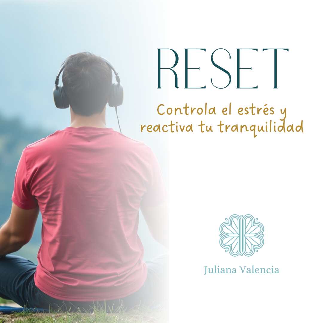 RESET: Controla el estrés y reactiva tu tranquilidad - Mindfulwor...
