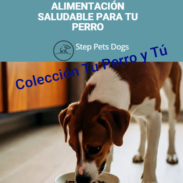 Tu Perro y Tú: Alimentación Saludable para Tu Perro | Hotmart