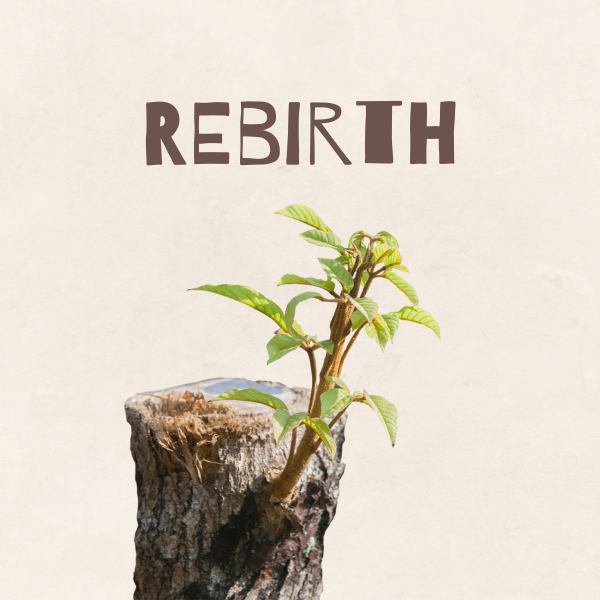 Rebirth Devotional - Raquel Coelho Dornelles | Hotmart