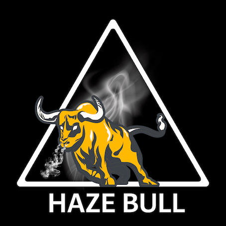 Método HB - Haze Bull Assessoria | Hotmart