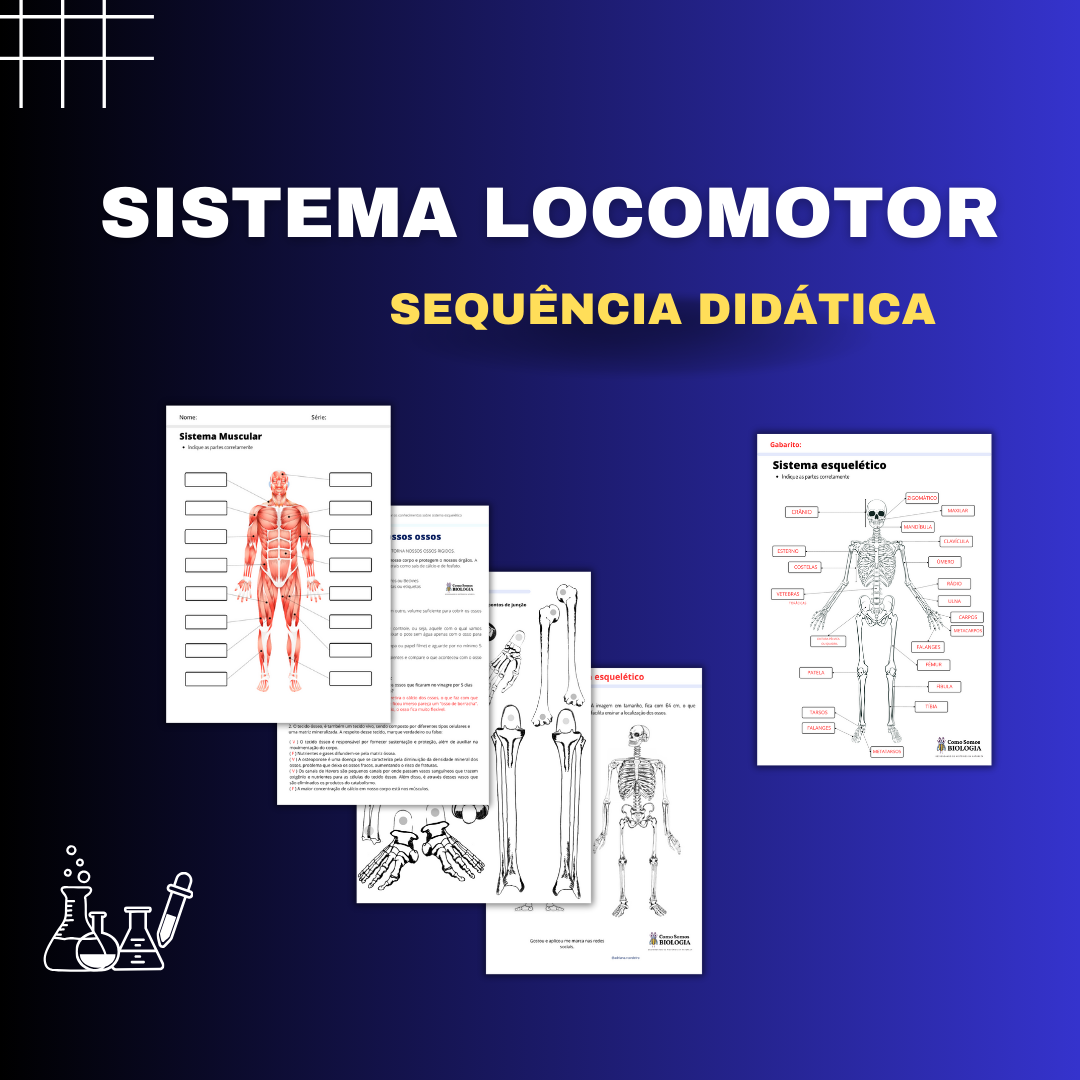 Sequência Didática Sistema Locomotor Adriana Cordeiro Hotmart