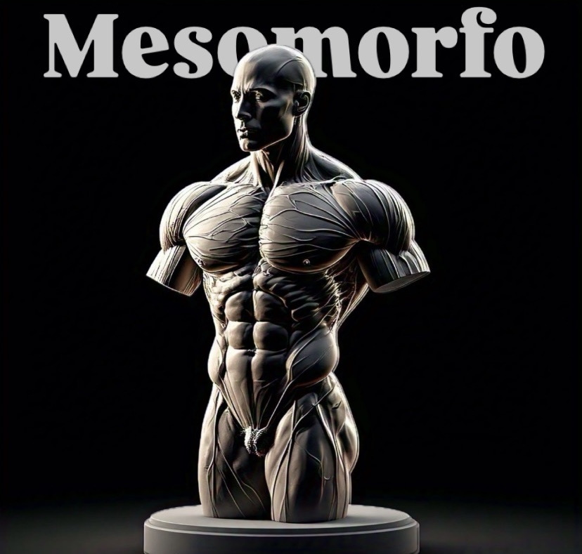 Guia Do Mesomorfo | Guia Completo - Lays Maria Vila Verde | Hotmart