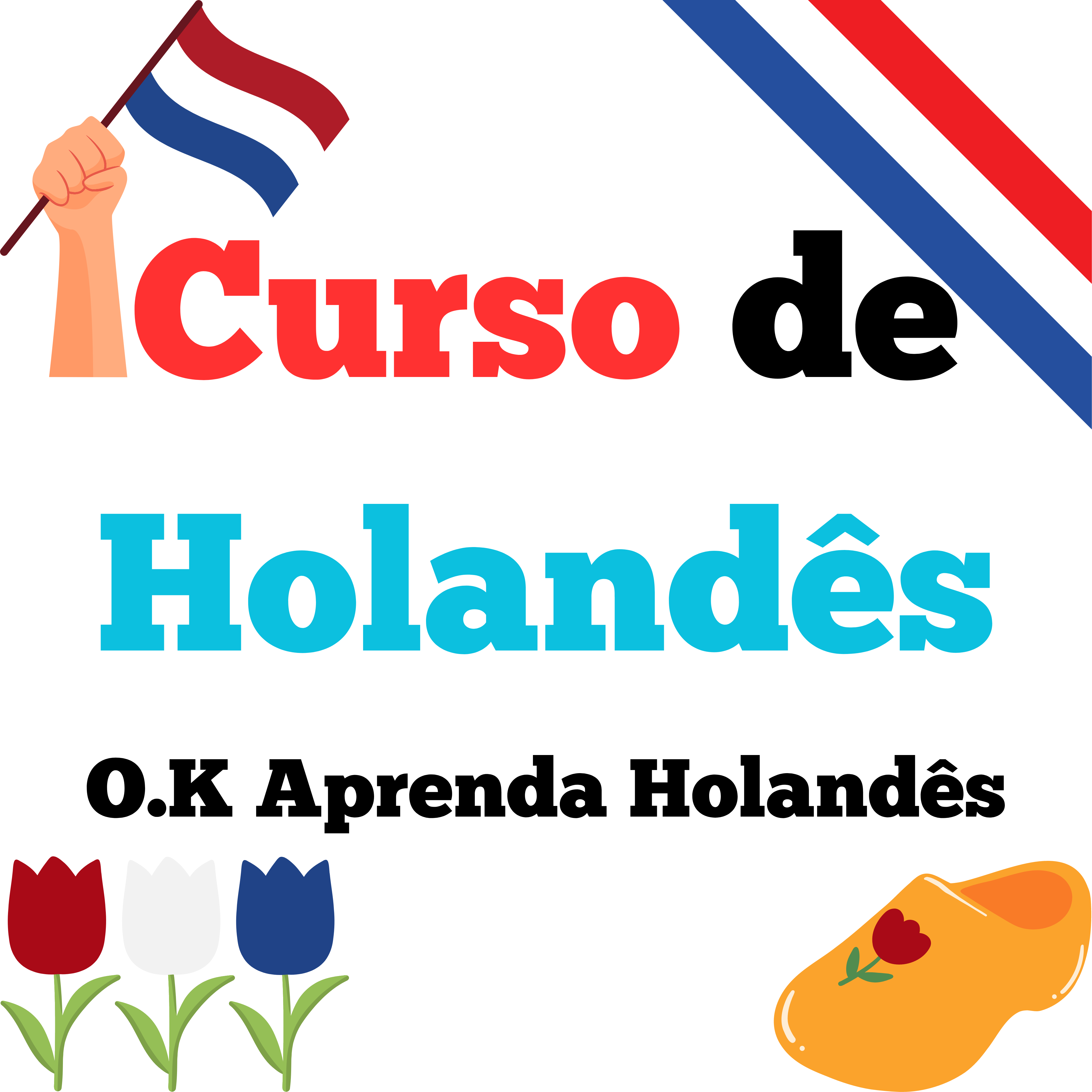 Curso de Holandês (Aprenda Holandês)