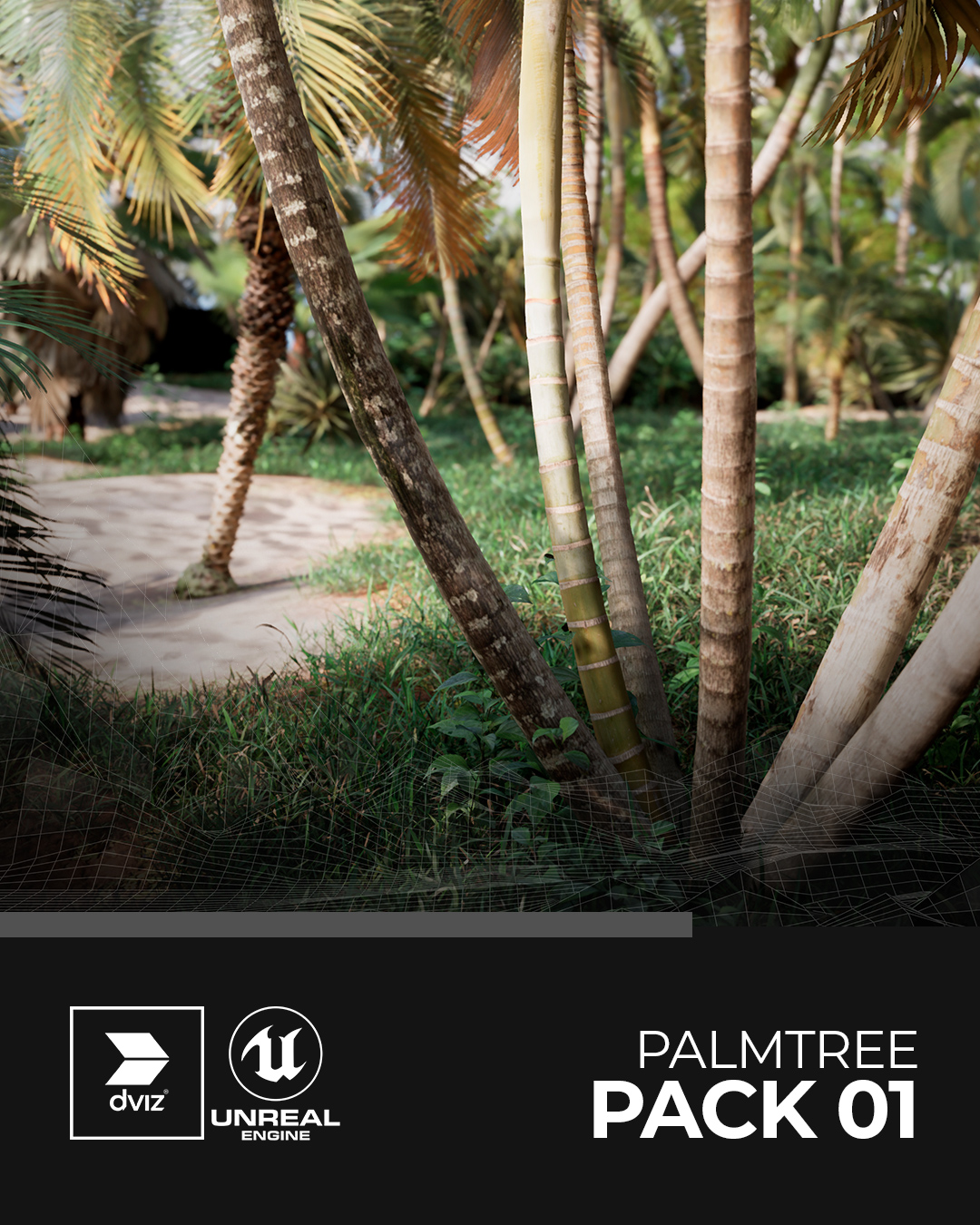 Pack - Palm Tree 01 [Cademi]