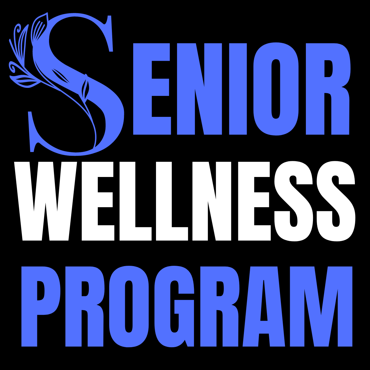 Senior Wellness Program