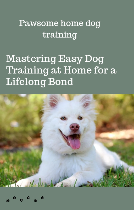 Mastering Easy Dog Training at Home for a Lifelong Bond