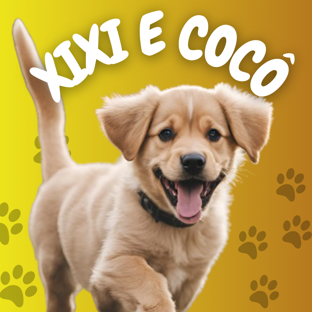 XIXI E COCÔ no lugar certo - Aprenda a ensinar seu filhote ou cão adulto