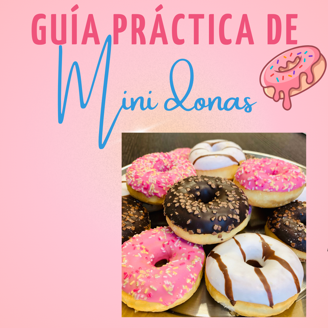 GUÍA PRÁCTICA DE MINI DONAS - Ana Paula Lino da rocha nunes | Hot...