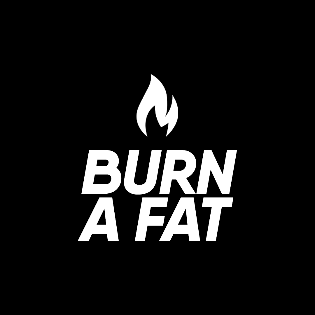 Burn Fat - Plano Trimestral