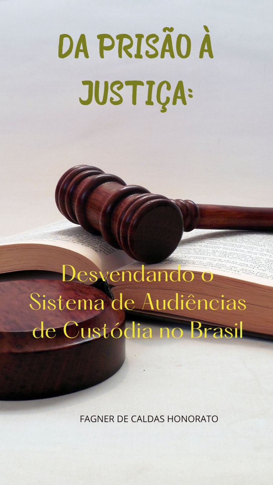 Da Prisão à Justiça: Desvendando o Sistema de Audiências de Custódia no ...