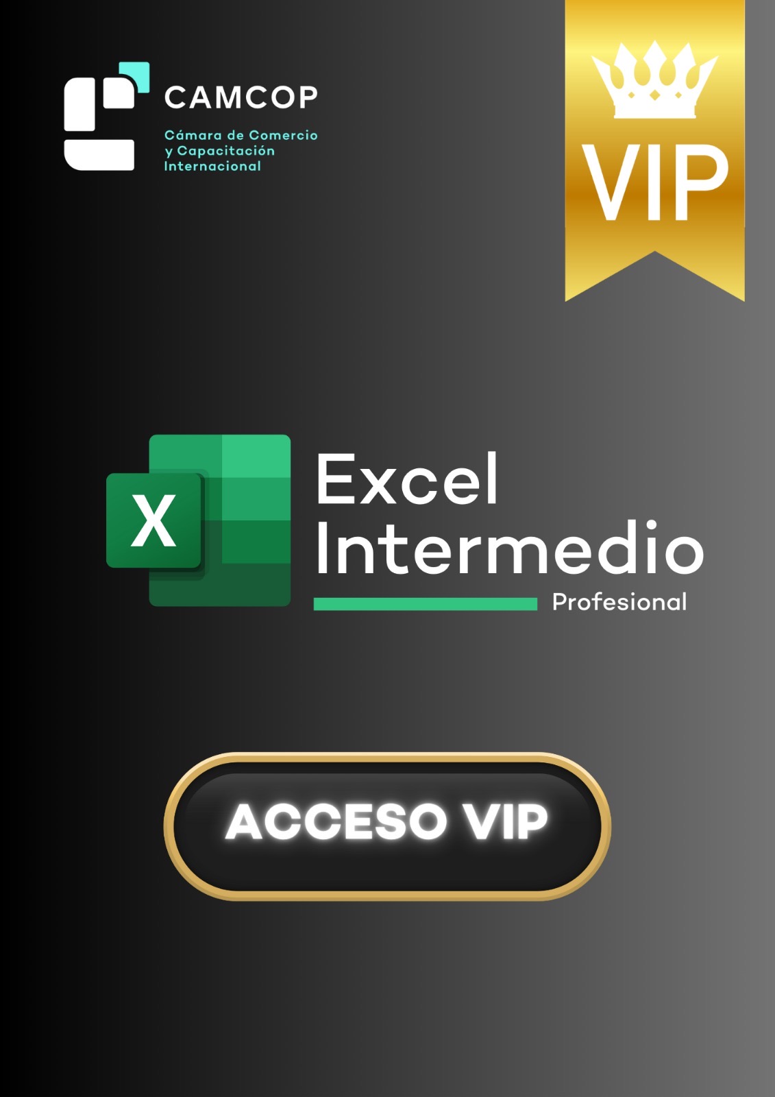 Acceso VIP a Excel Intermedio