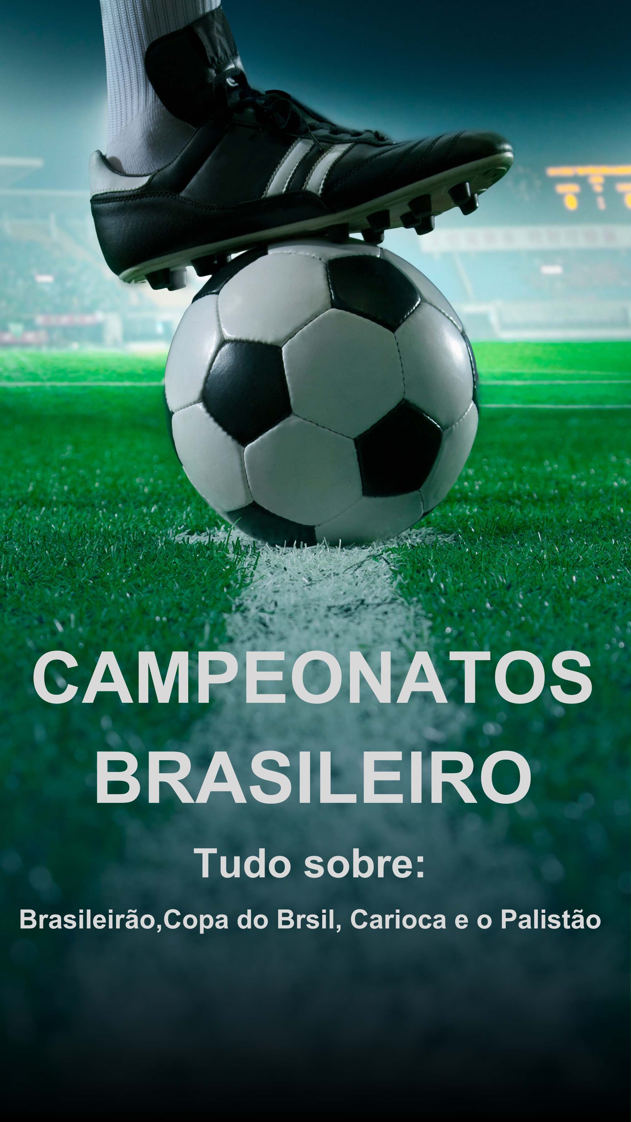 Campeonatos brasileiro. Tudo sobre: Copa do Brasil, Brasileirão, Ca...
