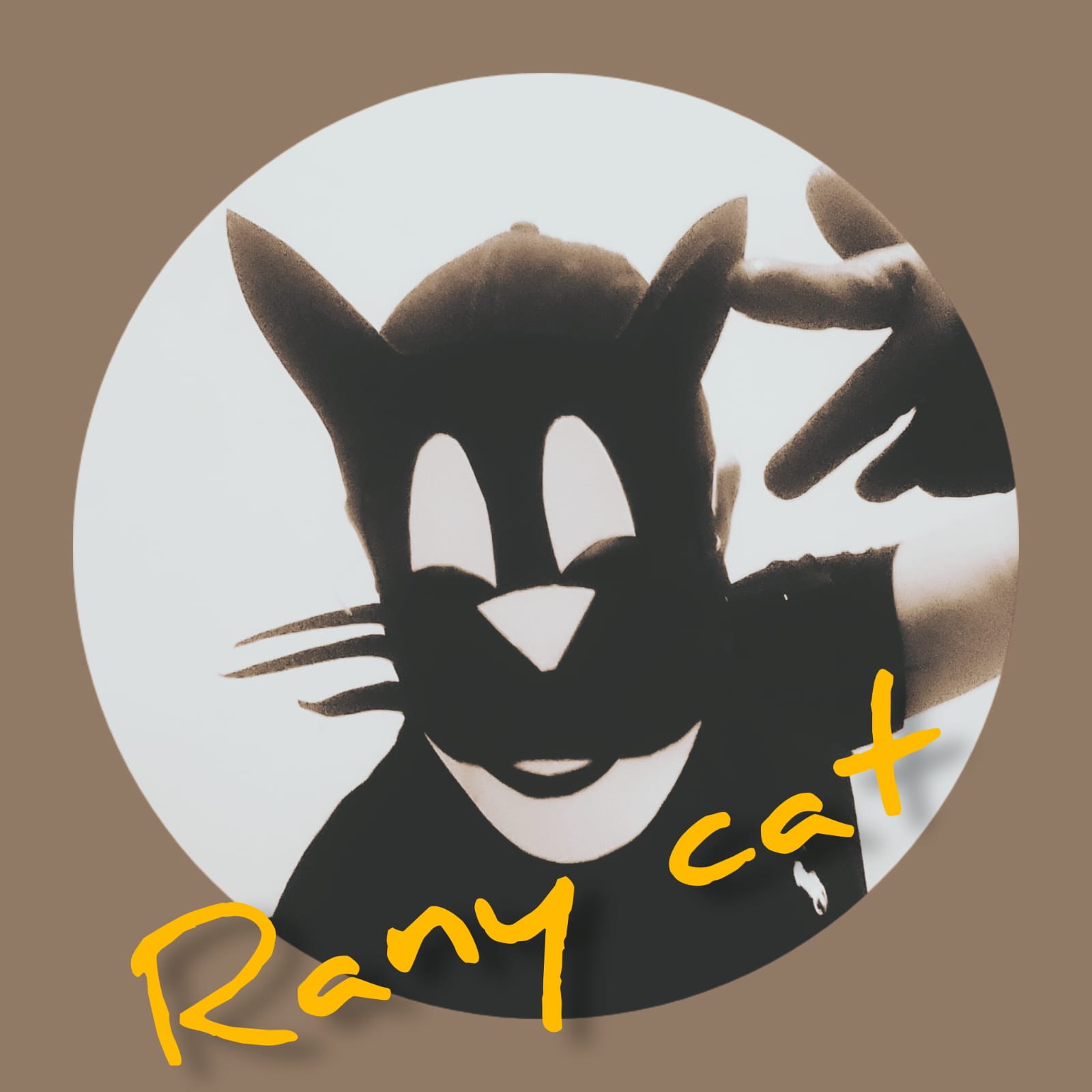 Aprendendo inglês com o gato Rany cat - Mracel Biagi | Hotmart
