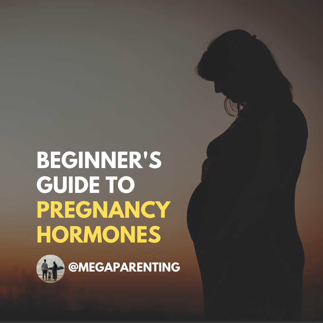 Beginner's Guide to Pregnancy Hormones