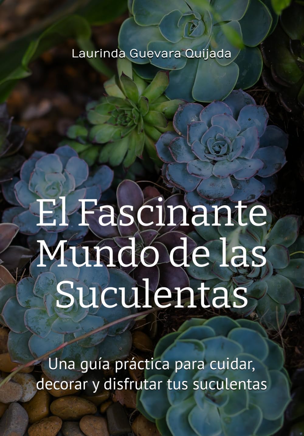 El Fascinante Mundo de las Suculentas: Una guía práctica para cuida...