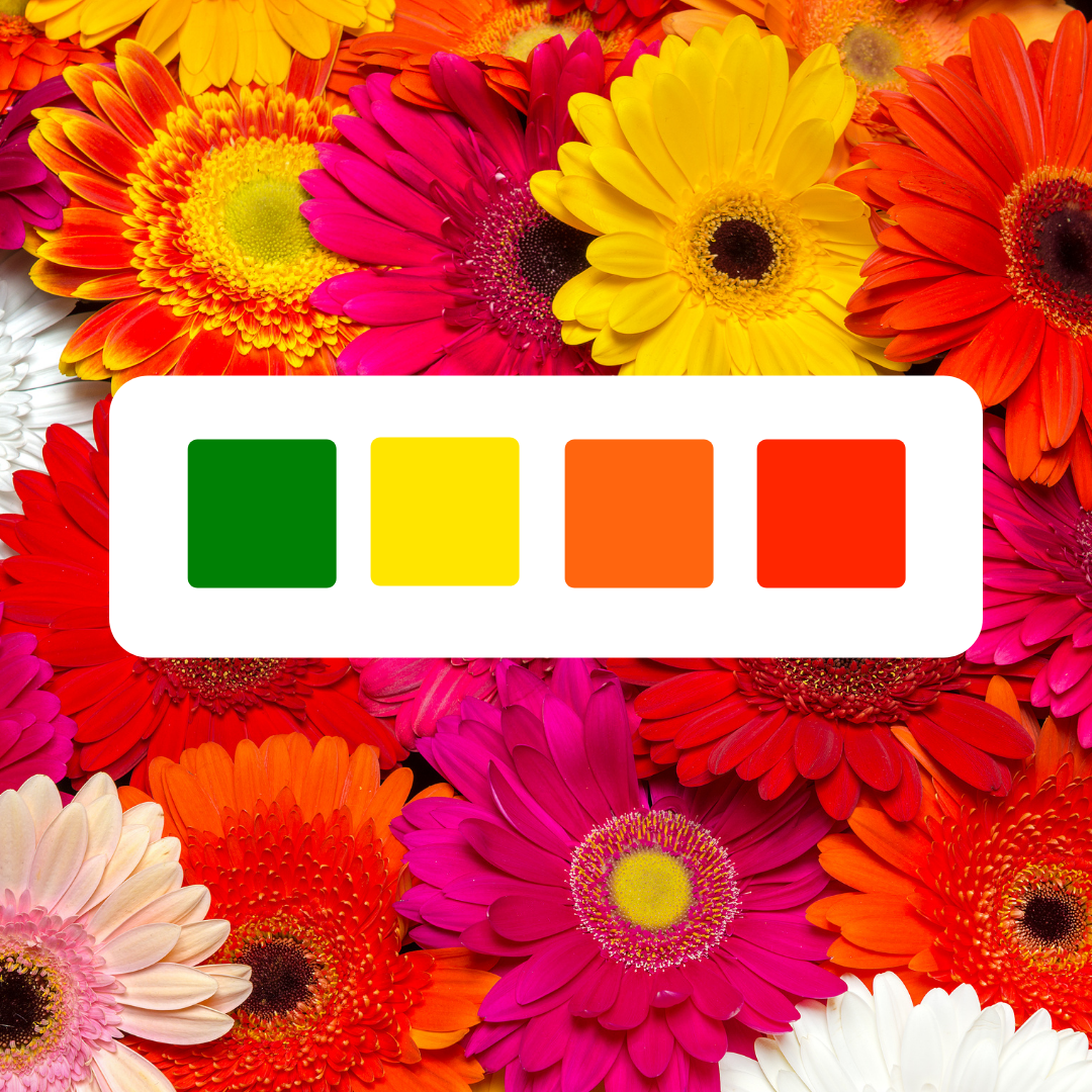 PRIMAVERA BRILHANTE: Conheça o que as cores dizem sobre você atravé...