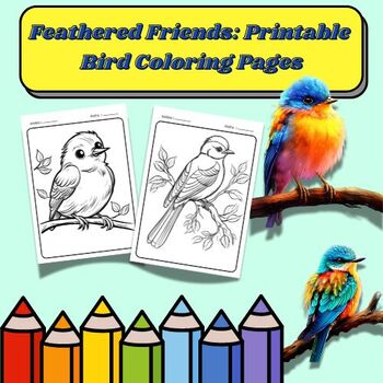 Birds Coloring book – 25 Printable Pages for Kids and Adults
