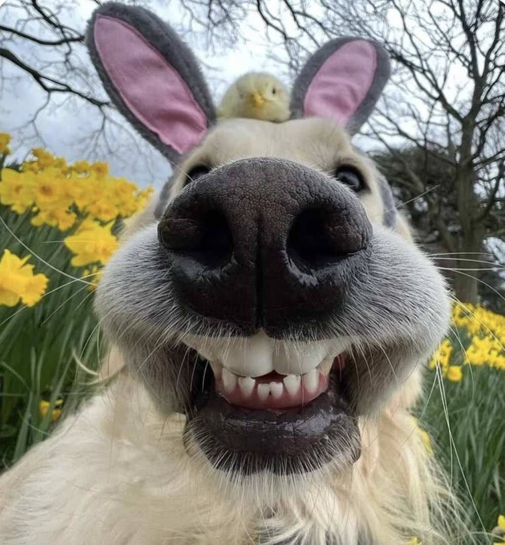 Curso de Pagodão Baiano - Nay