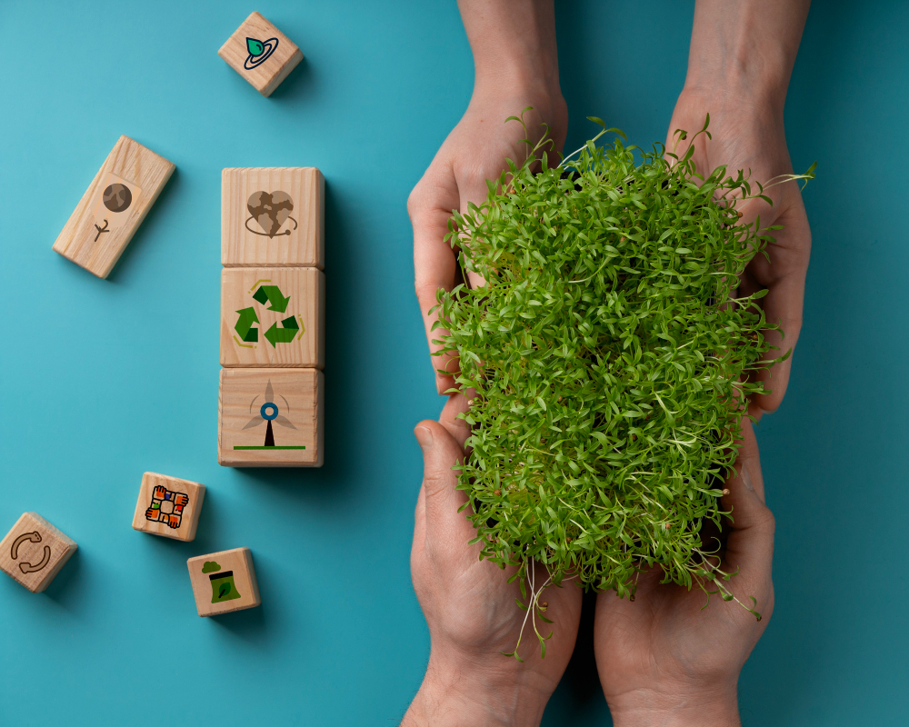 meio-ambiente-e-sustentabilidade