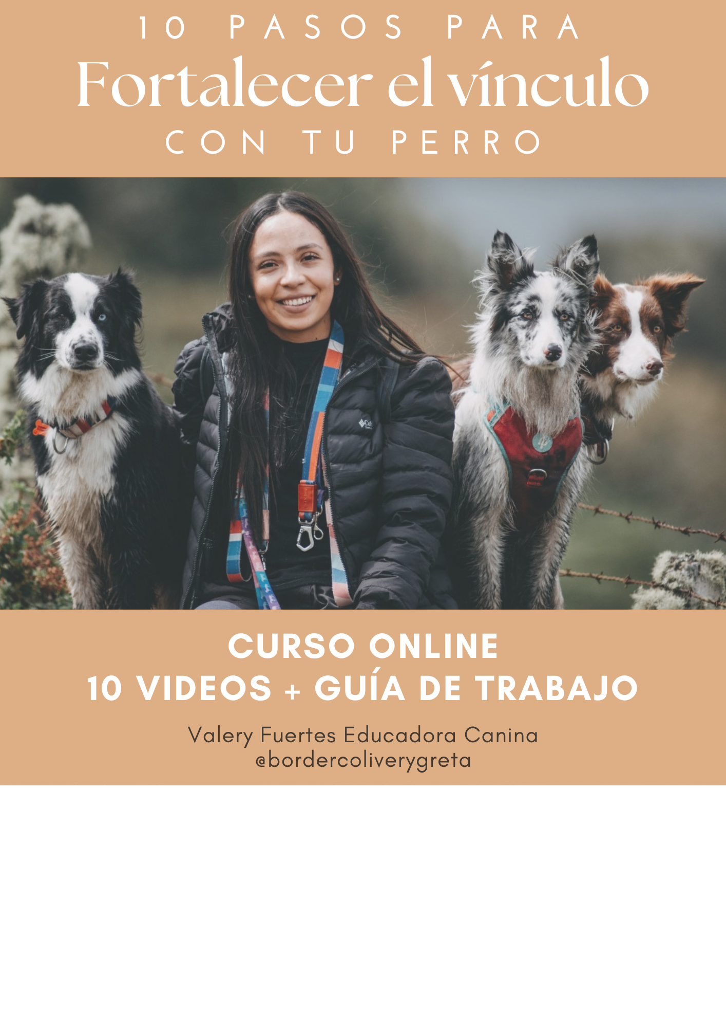 10 PASOS PARA FORTALECER EL VÍNCULO CON TU PERRO - Valery Fuertes