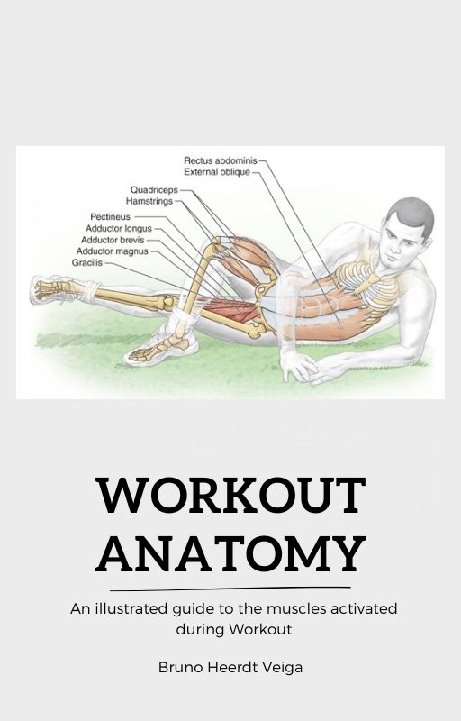 Workout Anatomy