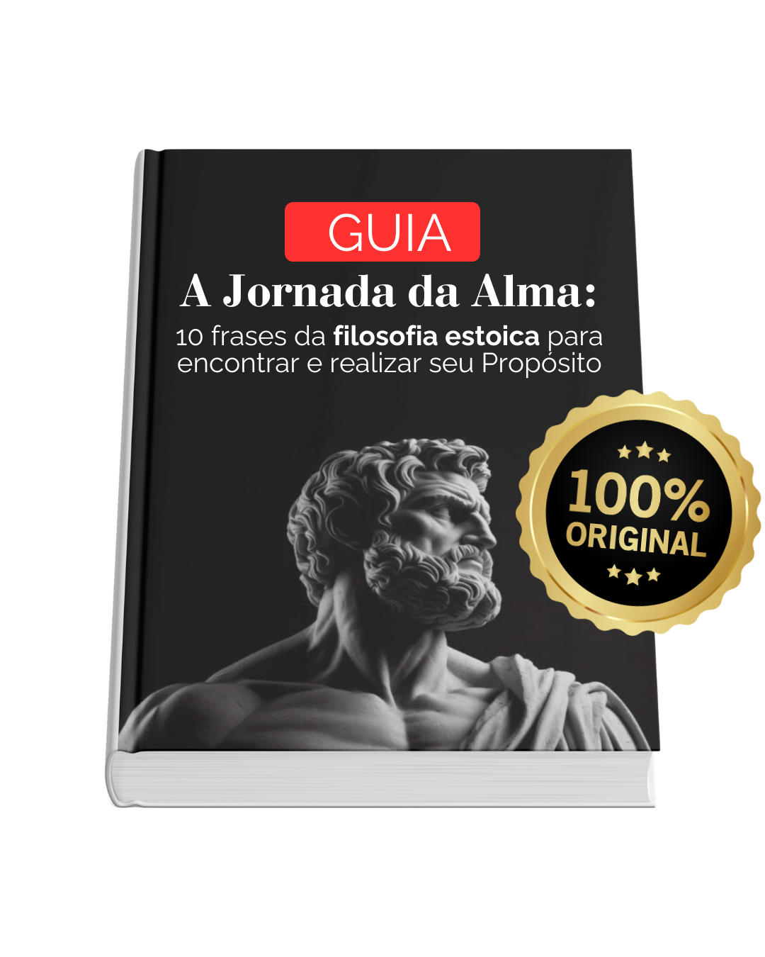 GUIA - A Jornada da Alma: 10 Frases da Filosofia Estoica sobre ...