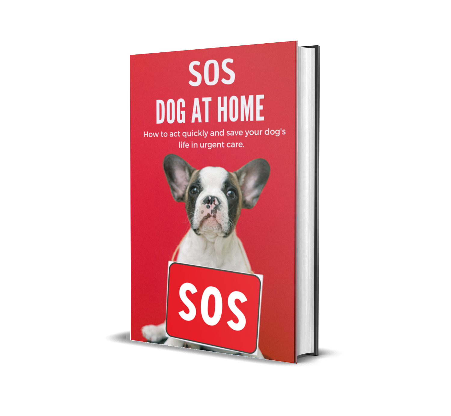 SOS Dog At Home