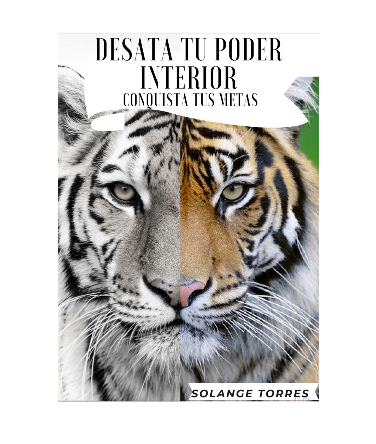 E-BOOK - Solange Torres | Hotmart