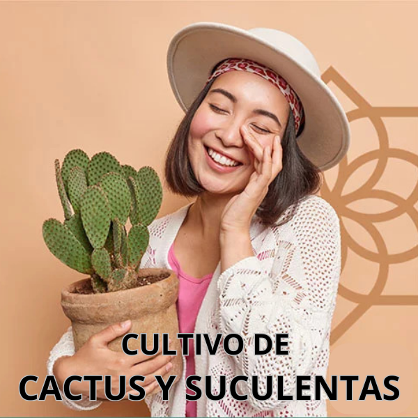 Cultivo de Cactus y Suculentas - Do Zero ao Milhão | Hotmart