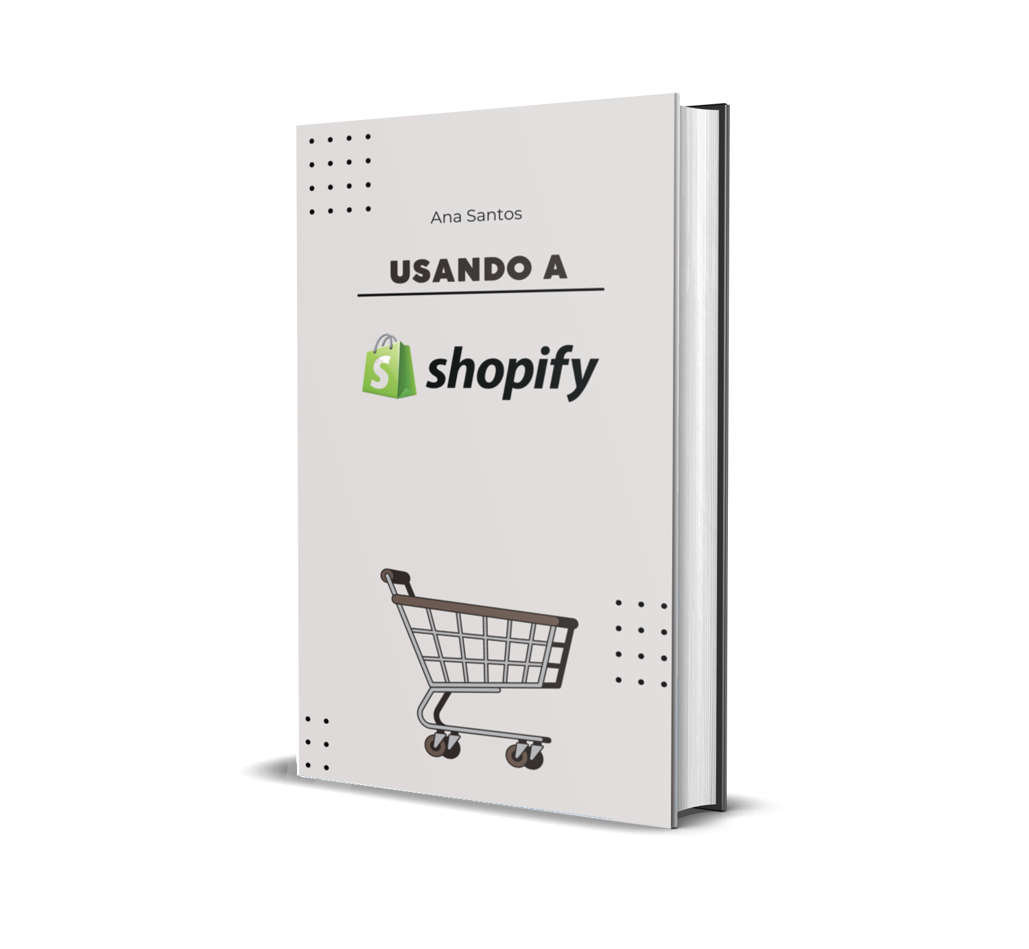 Shopify 100
