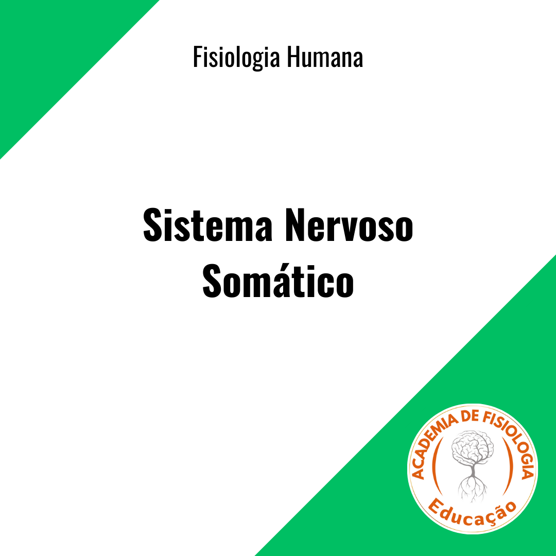 Sistema Nervoso Somático Paulo Eduardo Pereira Hotmart