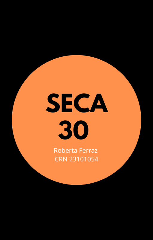 SECA 30! - Roberta Ferraz | Hotmart