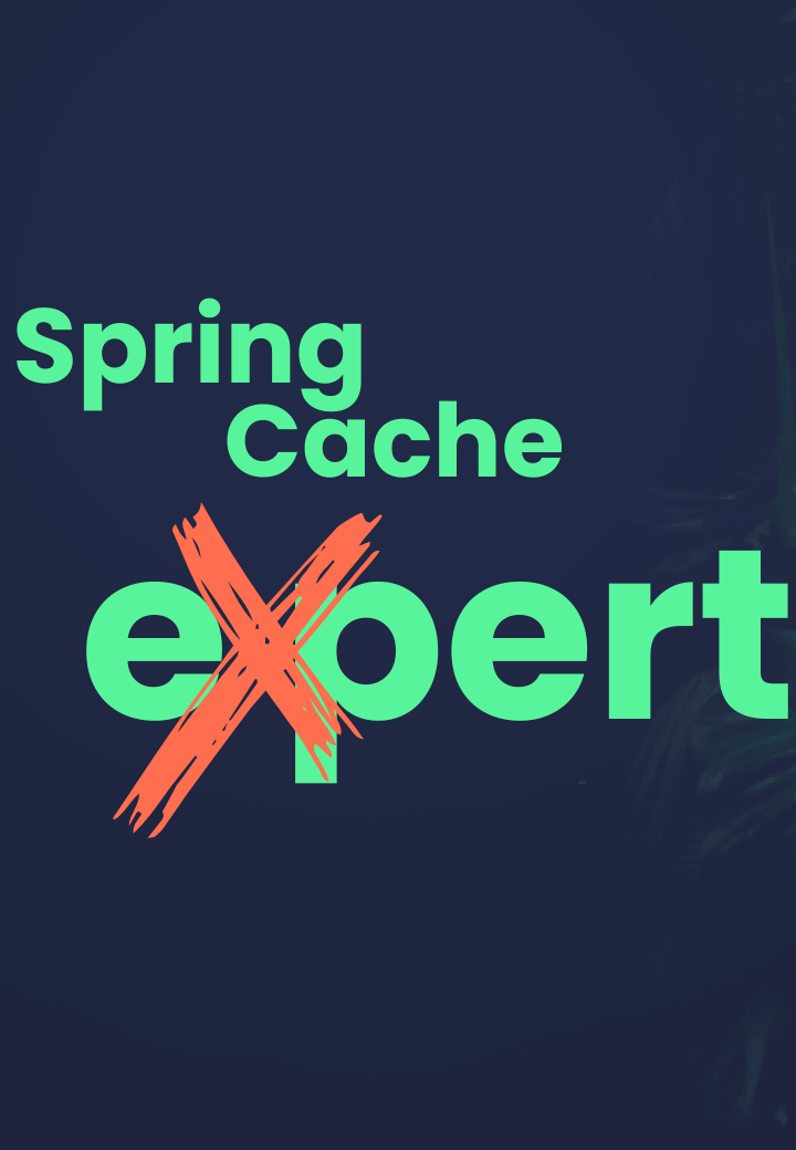 Spring Cache Expert