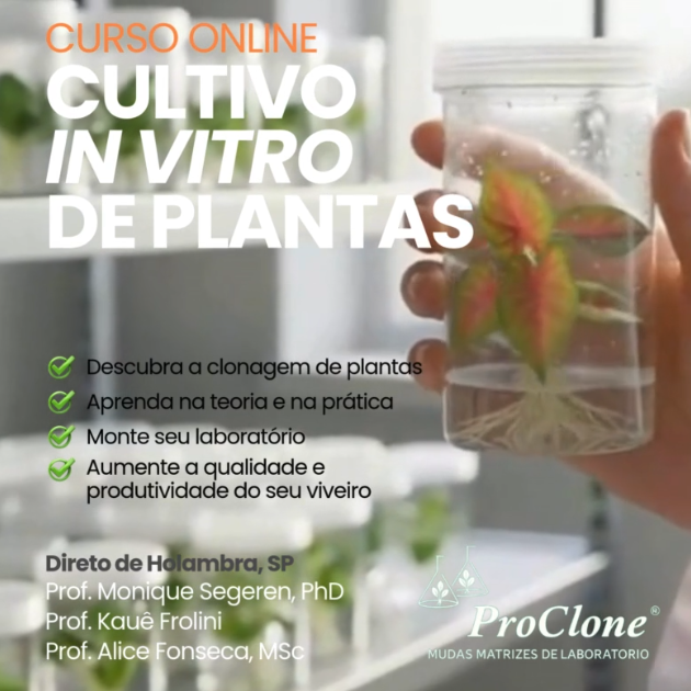 Práticas em Micropropagação [Cultivo in vitro de plantas] - Monique...
