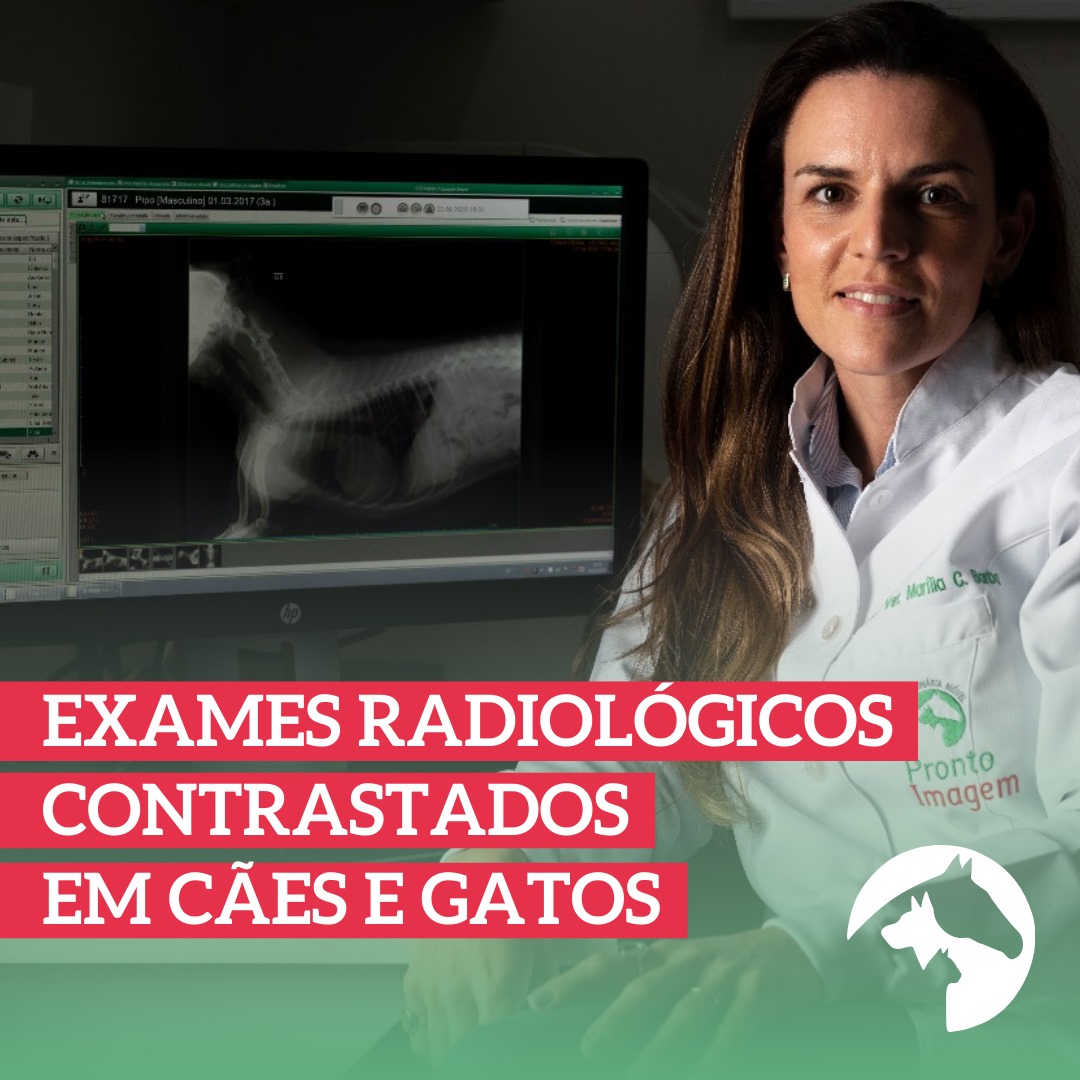Curso de Raio-X Contrastado em Cães e Gatos - Marilia Correa Borba ...