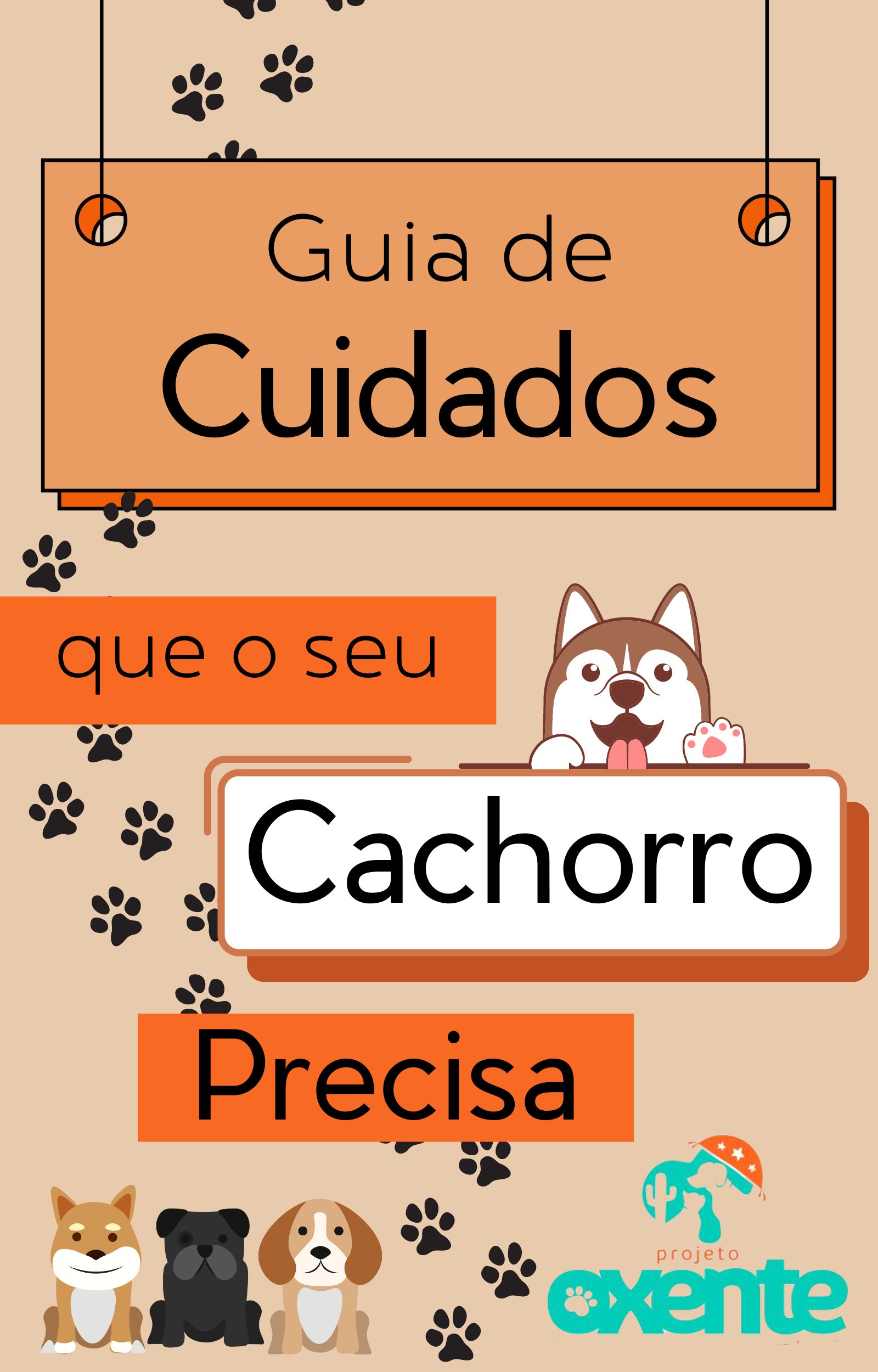 Cuidados que o Seu Cachorro Precisa - Maria Luiza Freire Ribeiro