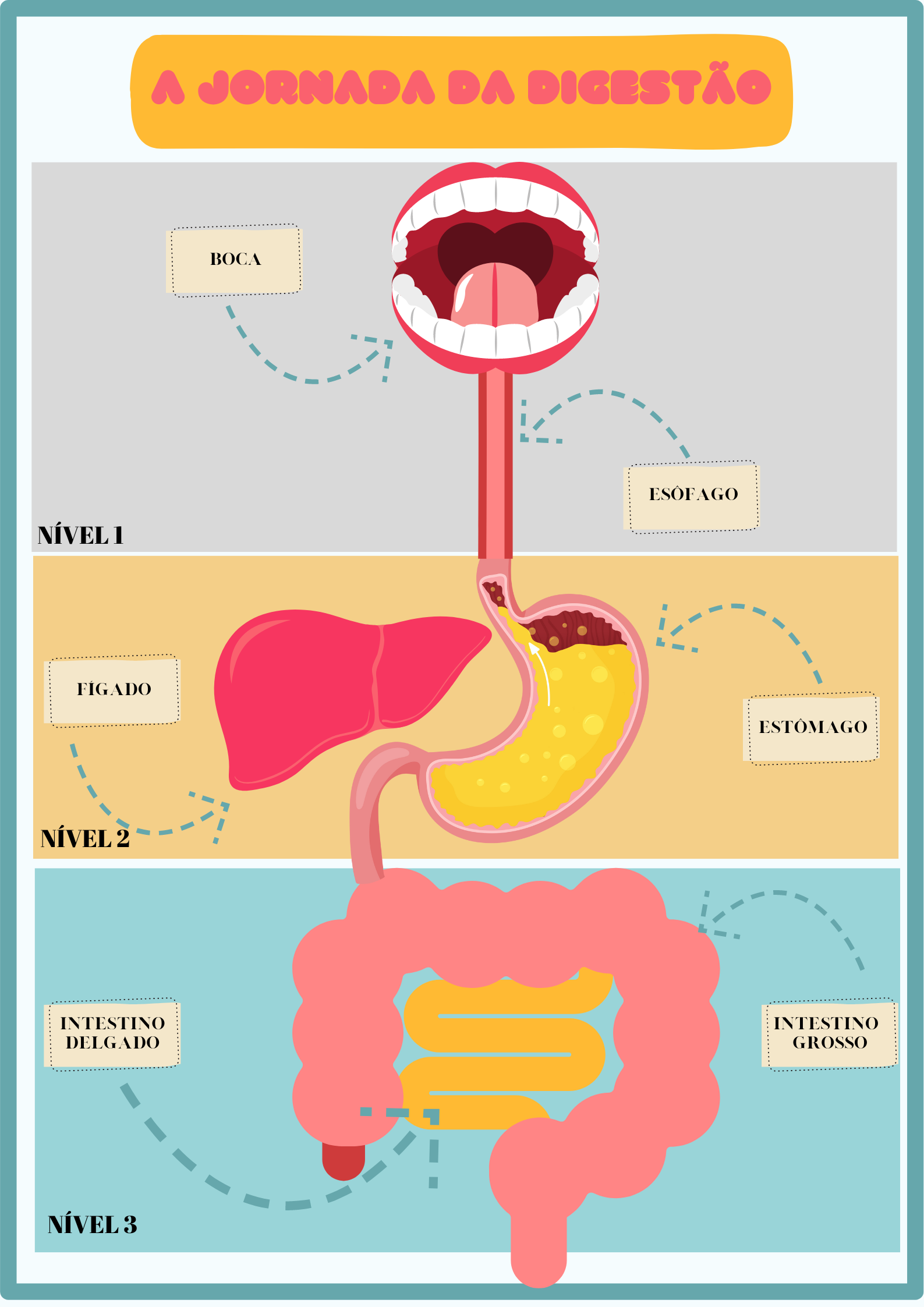 A JORNADA DIGESTIVA - FAZENDO EDUCAÇÃO | Hotmart