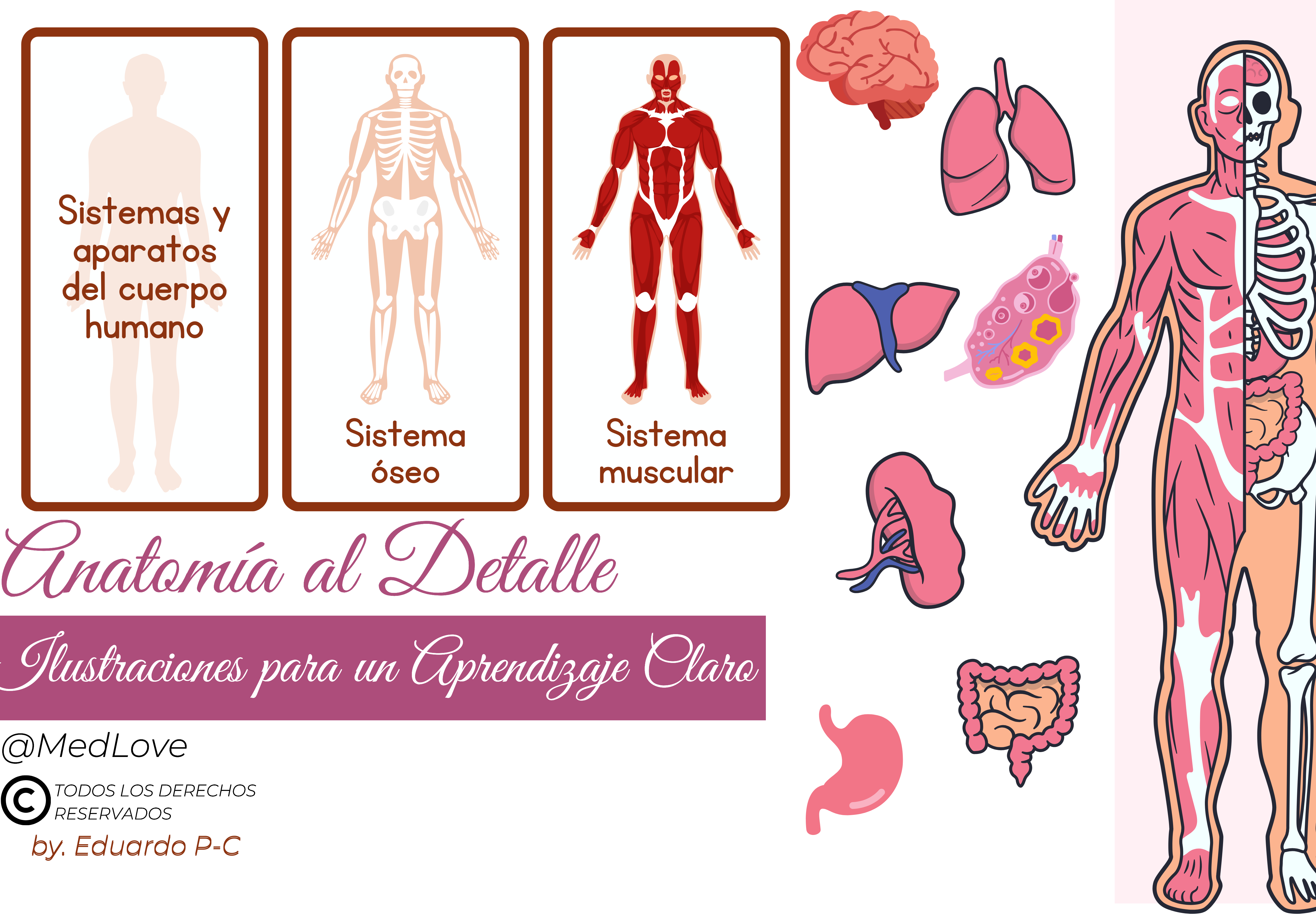 Anatomía al Detalle - EduardoC - Eduardo C. | Hotmart