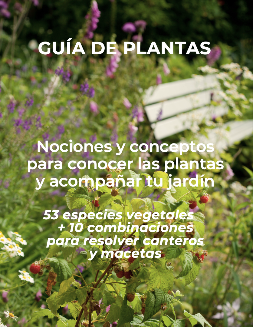 GUÍA DE PLANTAS - Cecilia Soria | Hotmart