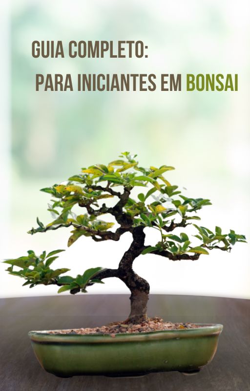 Guia Completo Para Iniciantes em Bonsai - Vêêh Silva | Hotmart