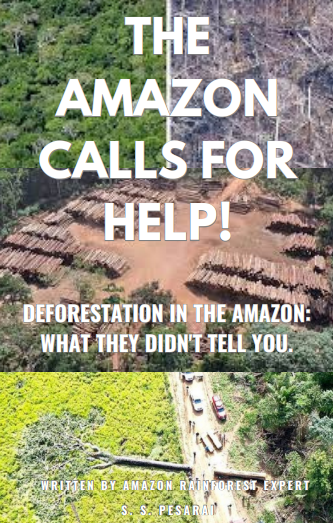 Deforestation in the Amazon: what they didn't tell you.