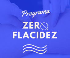 Programa Zero Flacidez - Antonio chuiti koike | Hotmart
